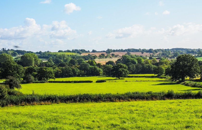 UK rural vote up for grabs in next election, campaigners say ...