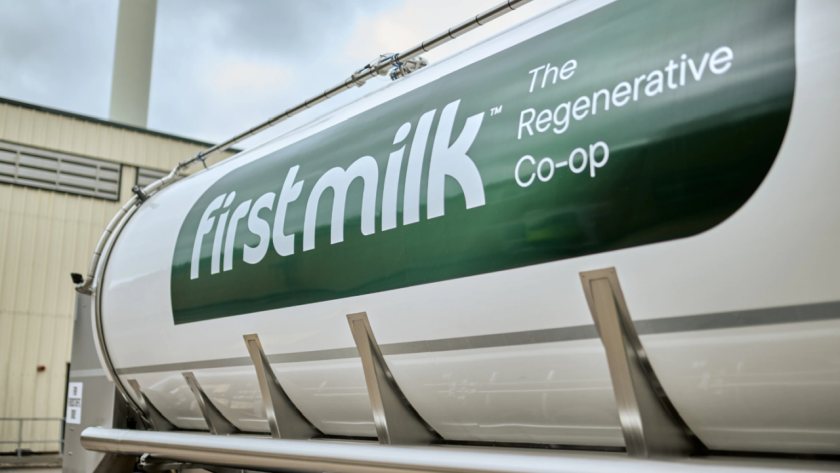 First Milk posts increase in turnover and operating profit - FarmingUK News