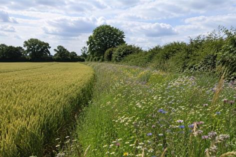 FarmingUK | Farming and Agriculture News from across UK